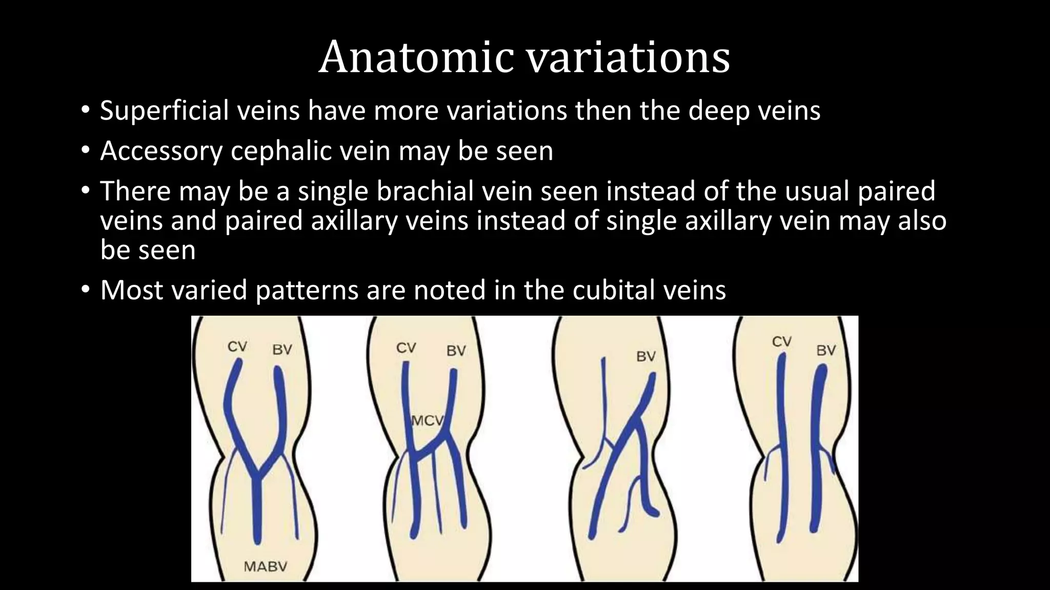 Vascular anatomy of extremities | PPTX