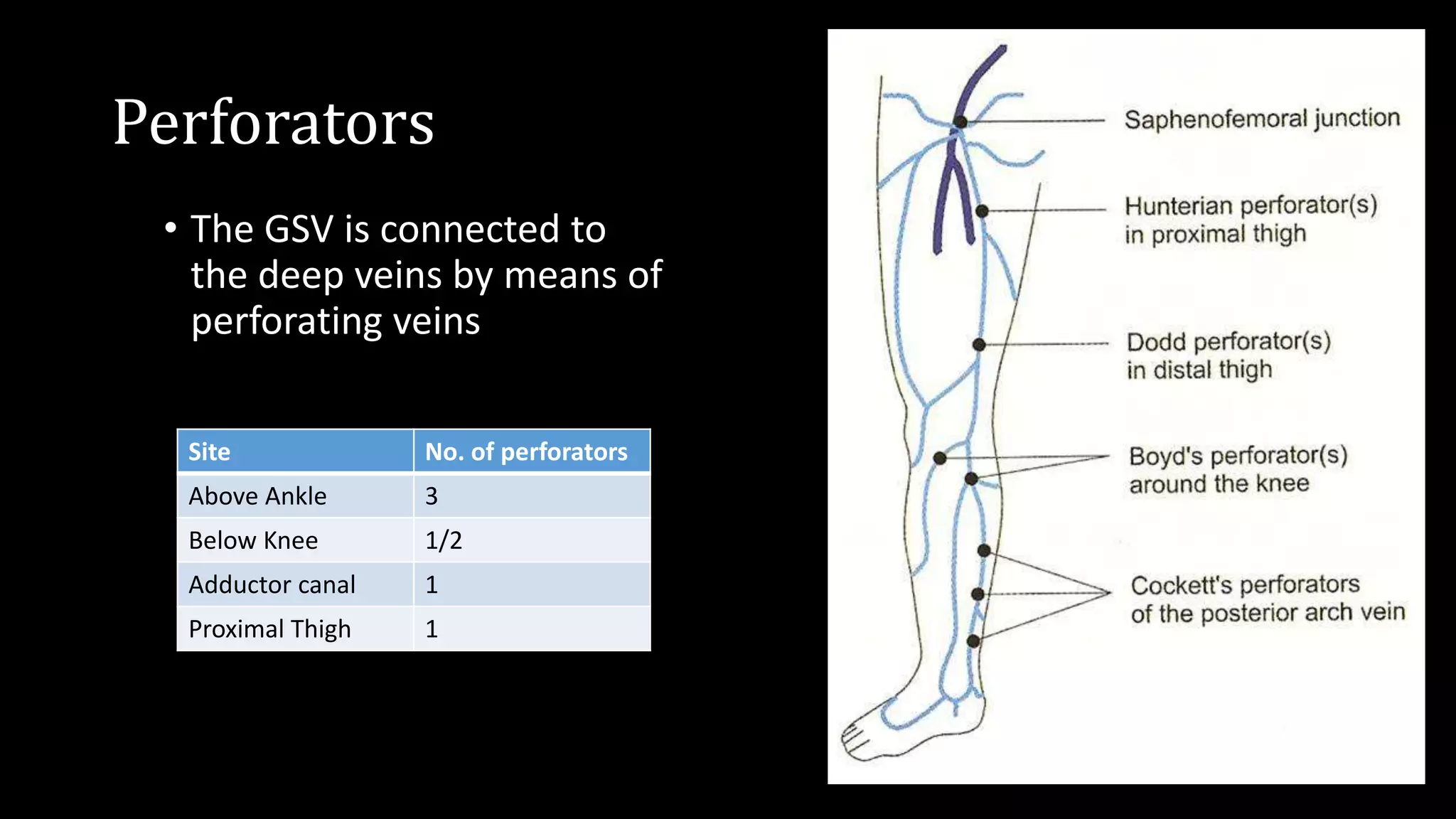 Vascular anatomy of extremities | PPTX