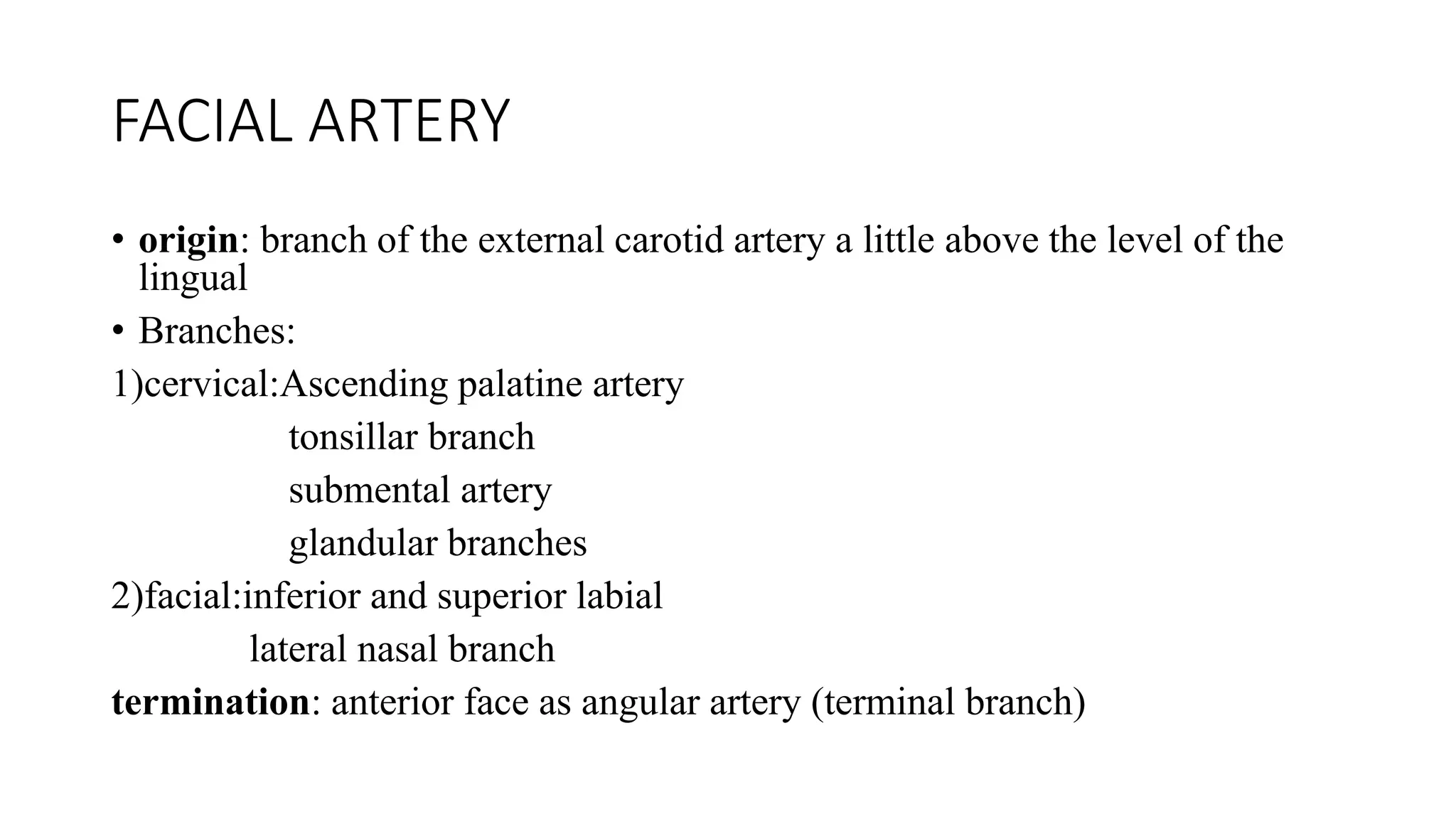 Vascular anatomy of head, [autosaved] | PPTX