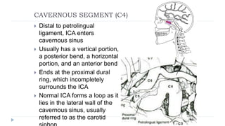 Vascular anatomy of head, [autosaved] | PPTX