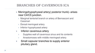 Vascular anatomy of head, [autosaved] | PPTX