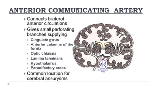 Vascular anatomy of head, [autosaved] | PPTX