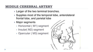 Vascular anatomy of head, [autosaved] | PPTX