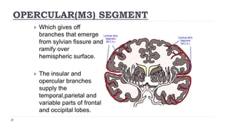 Vascular anatomy of head, [autosaved] | PPTX