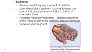 Vascular anatomy of head, [autosaved] | PPTX