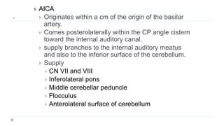 Vascular anatomy of head, [autosaved] | PPTX