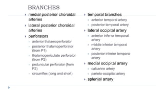 Vascular anatomy of head, [autosaved] | PPTX