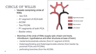 Vascular anatomy of head, [autosaved] | PPTX