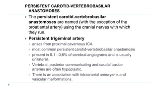 Vascular anatomy of head, [autosaved] | PPTX