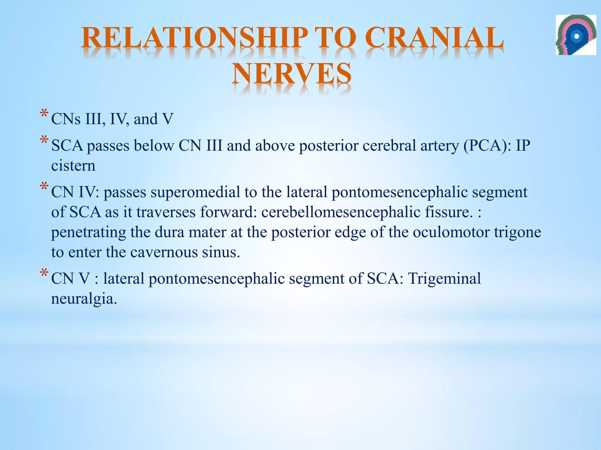 Vascular anatomy of posterior fossa | PPTX