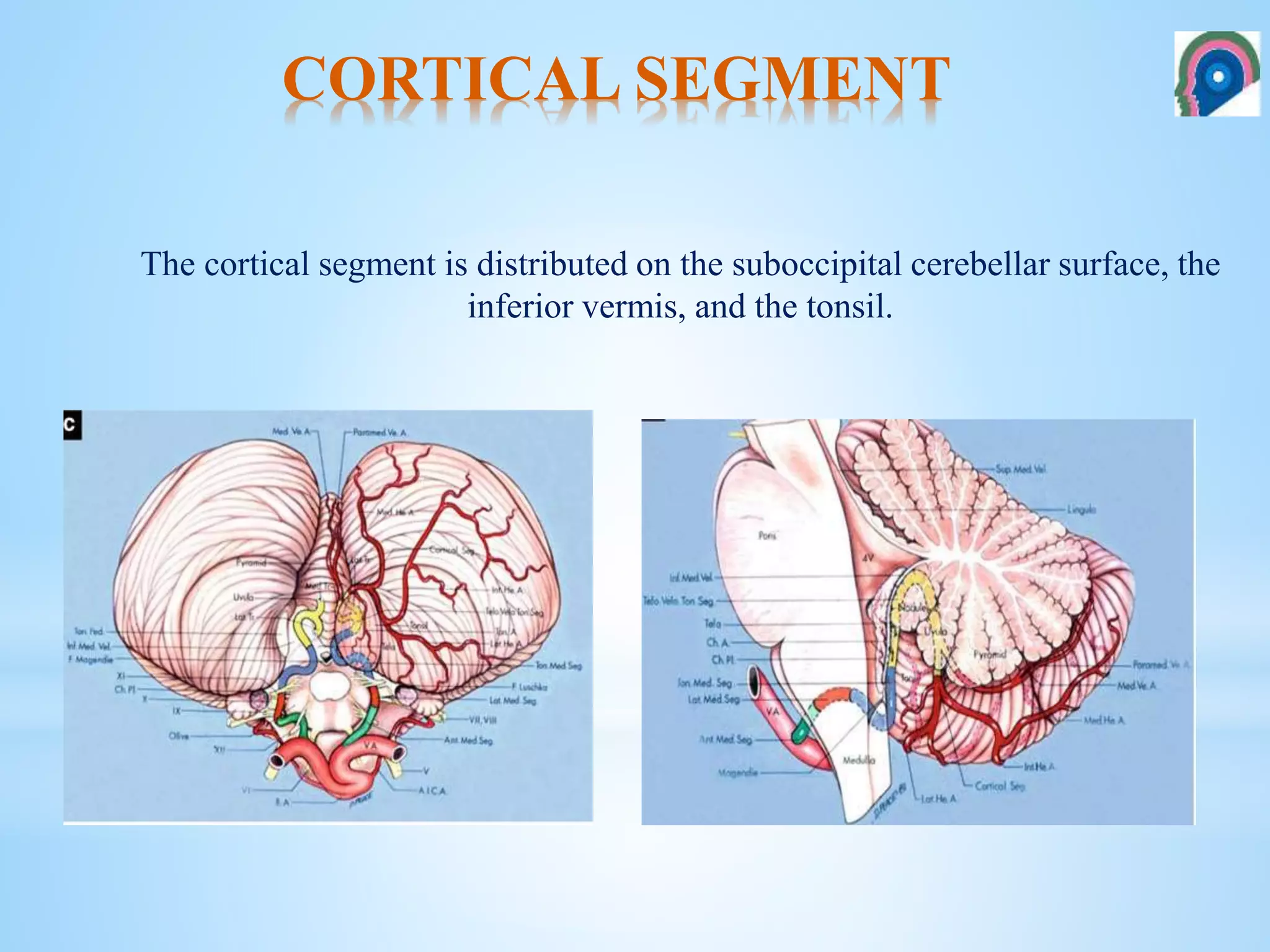 Vascular anatomy of posterior fossa | PPTX