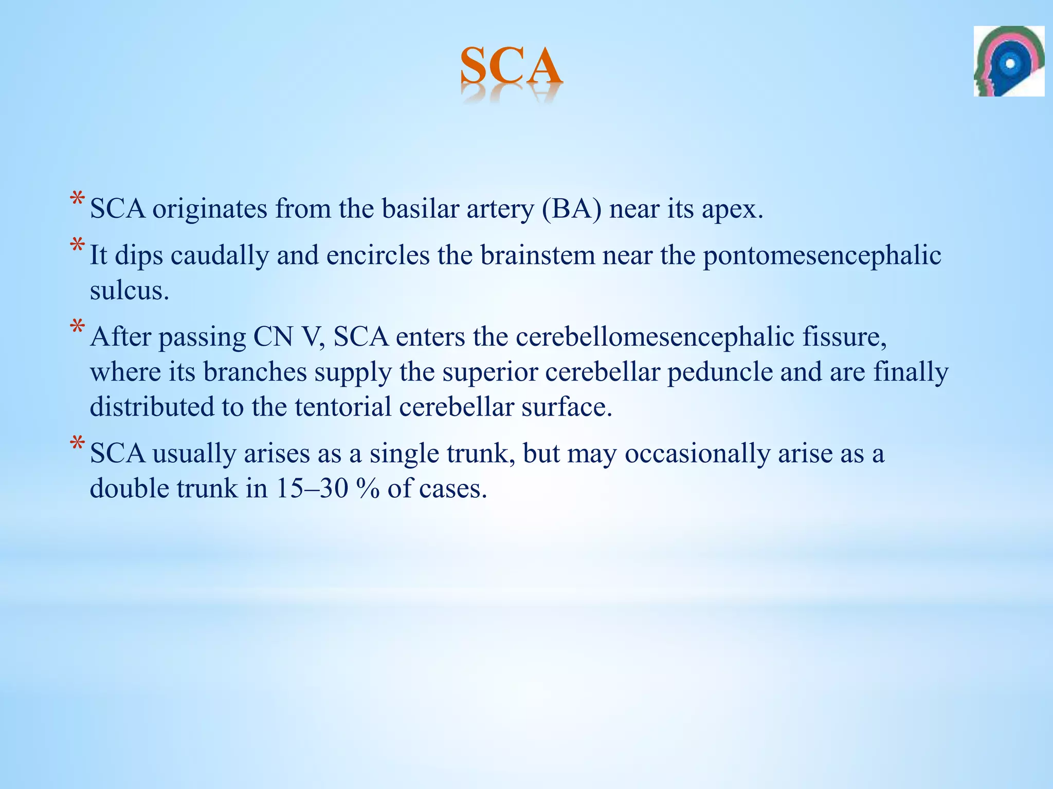 Vascular anatomy of posterior fossa | PPTX