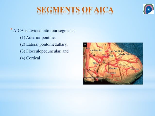 Vascular anatomy of posterior fossa | PPTX