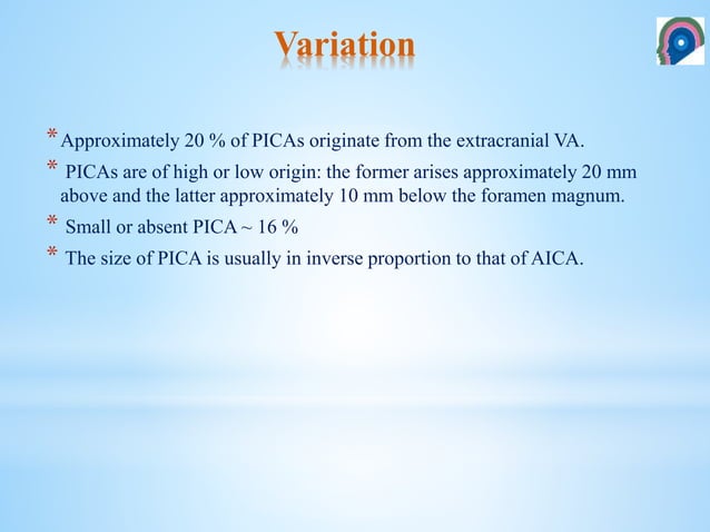 Vascular anatomy of posterior fossa | PPTX