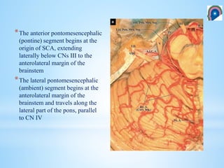 Vascular anatomy of posterior fossa | PPTX