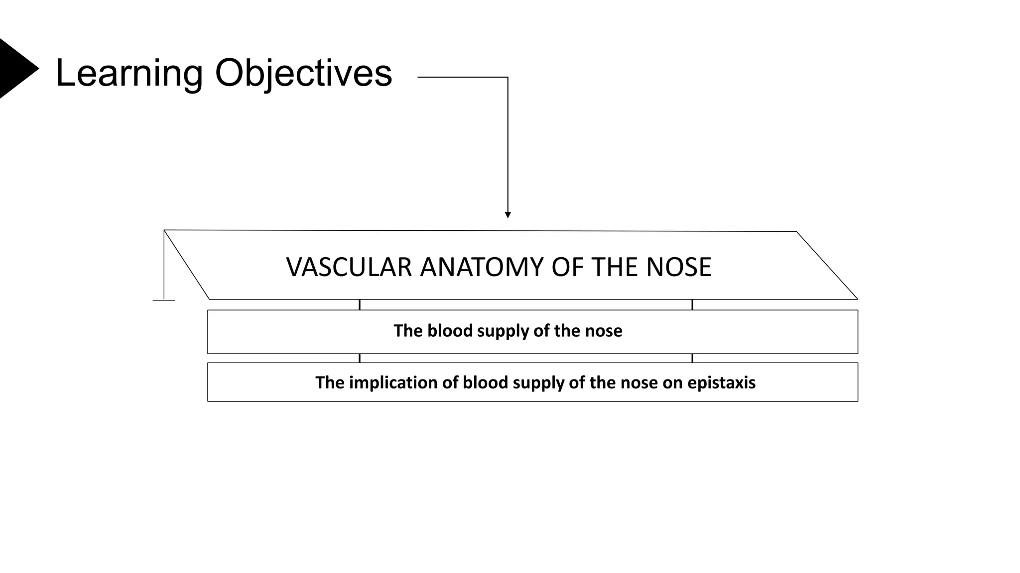 VASCULAR ANATOMY OF THE NOSE.pdf