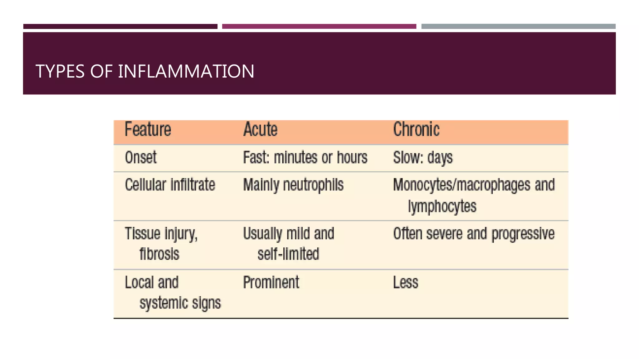 Vascular and cellular events in inflammation | PPTX