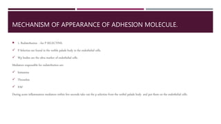 Vascular and cellular events in inflammation | PPTX
