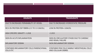 Vascular and cellular events in inflammation | PPTX