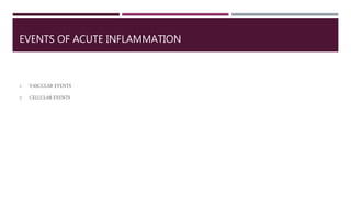 Vascular and cellular events in inflammation | PPTX