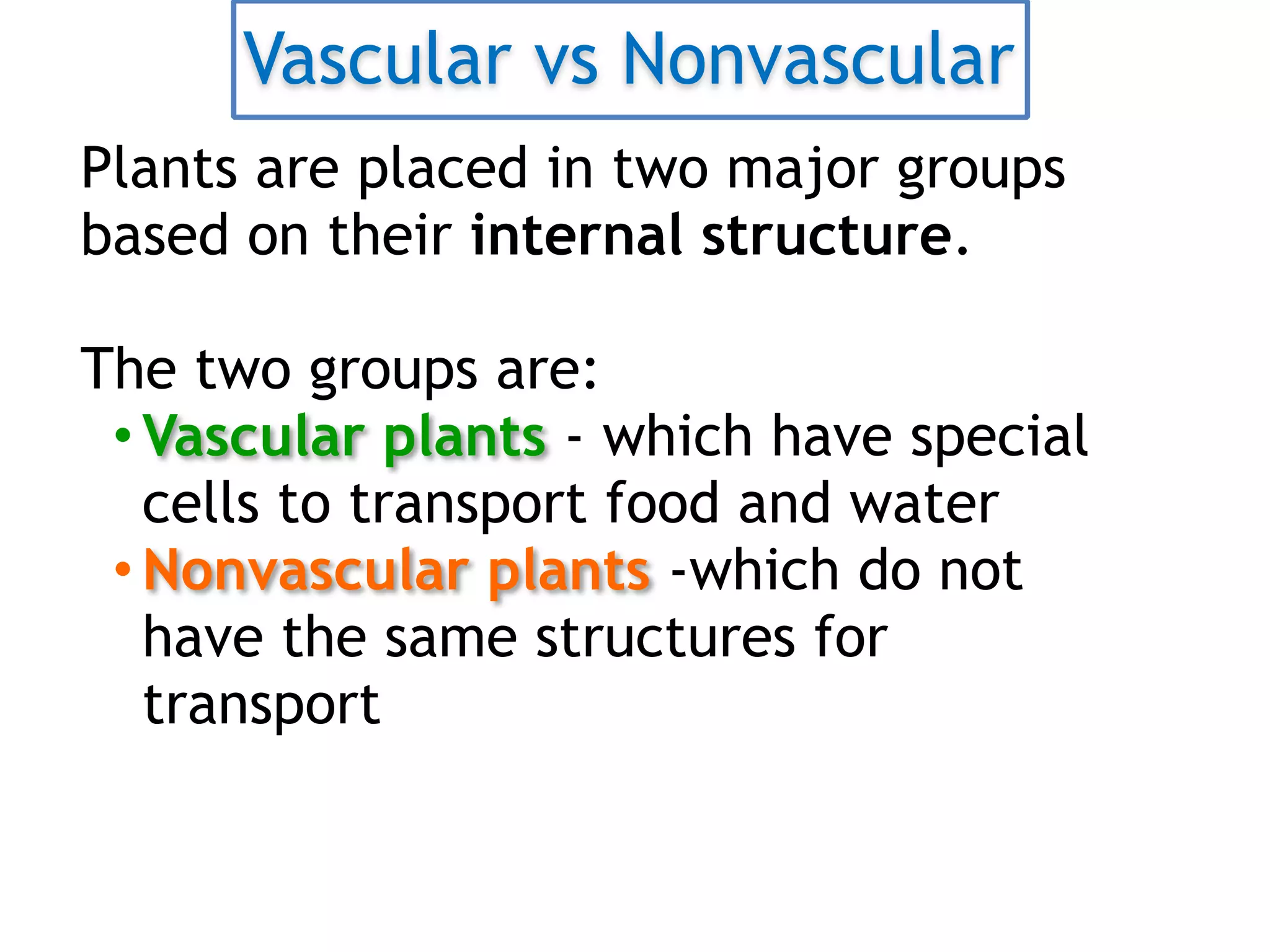 Vascular and Non Vascular Plants | PDF