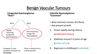 Vascular Anomalies Classifications and Treatment | PPTX