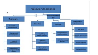 VASCULAR ANOMALIES.pptx vascular malformations | PPTX