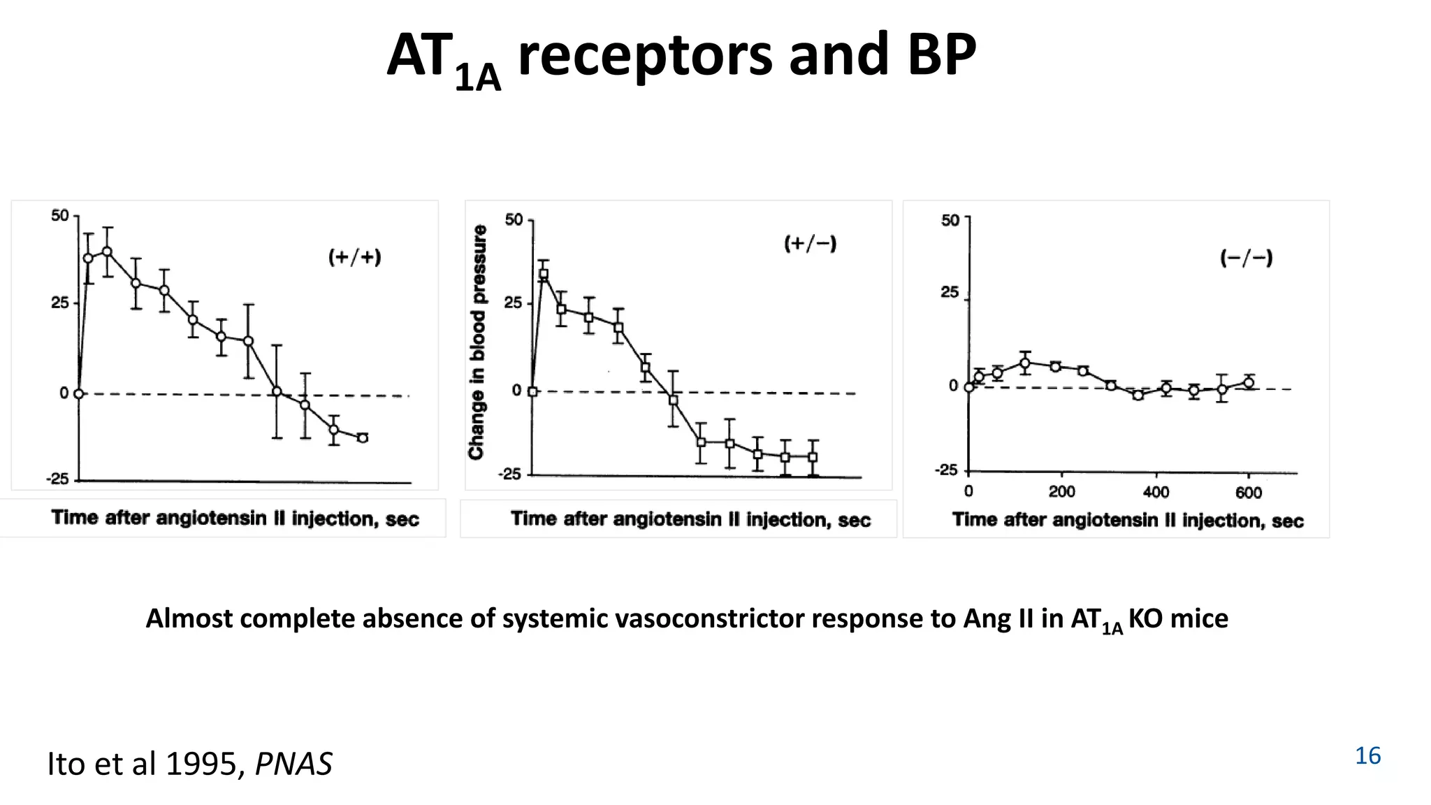 Vascular AT1 Receptors in Hypertension Emory Grand Rounds Slideshare ...