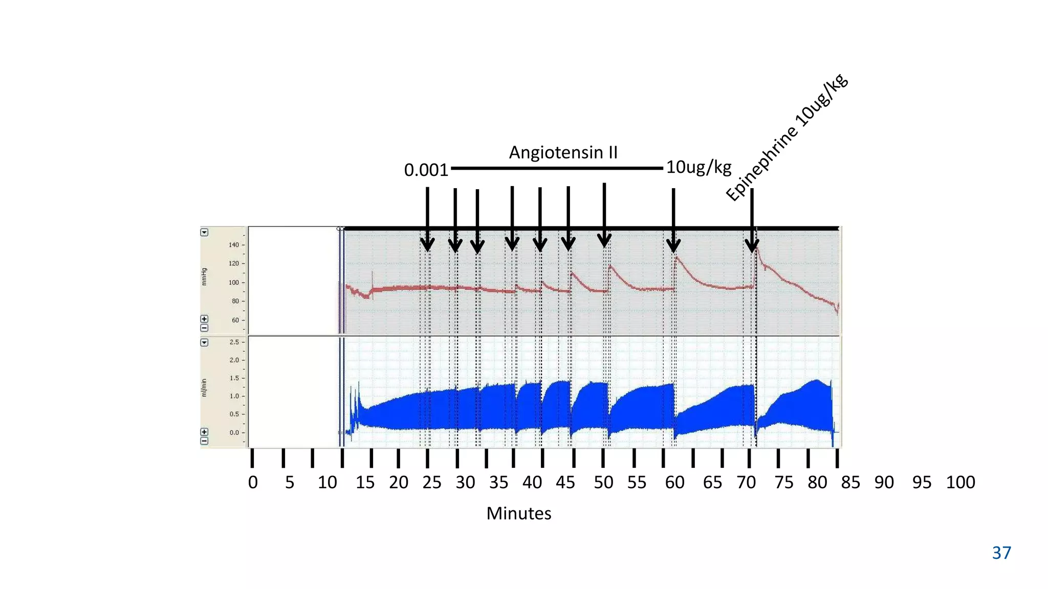 Vascular AT1 Receptors in Hypertension Emory Grand Rounds Slideshare Version.pptx
