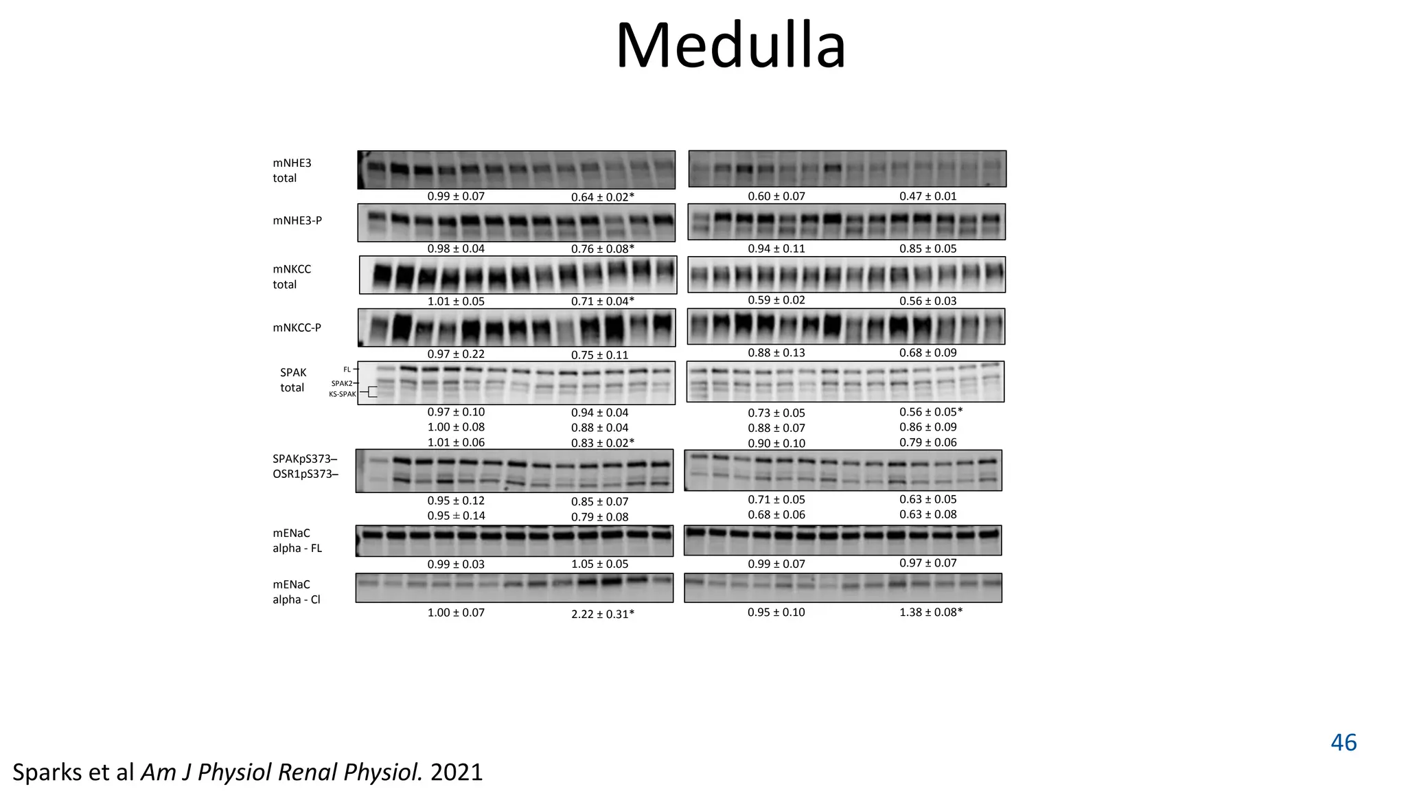 Vascular AT1 Receptors in Hypertension Emory Grand Rounds Slideshare Version.pptx