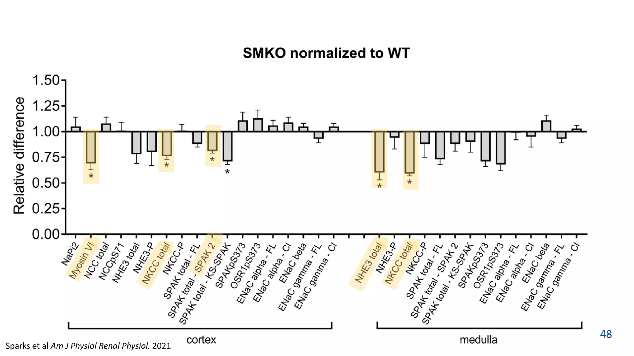 Vascular AT1 Receptors in Hypertension Emory Grand Rounds Slideshare Version.pptx