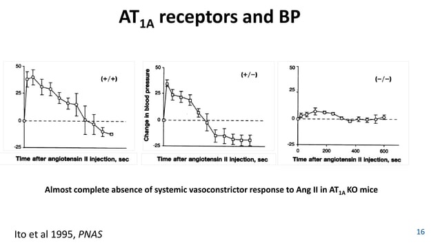 Vascular AT1 Receptors in Hypertension Emory Grand Rounds Slideshare ...