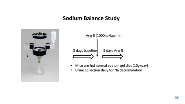 Vascular AT1 Receptors in Hypertension Emory Grand Rounds Slideshare Version.pptx
