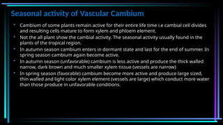 Vascular Cambium and annual rings and secondarygrowth.pptx