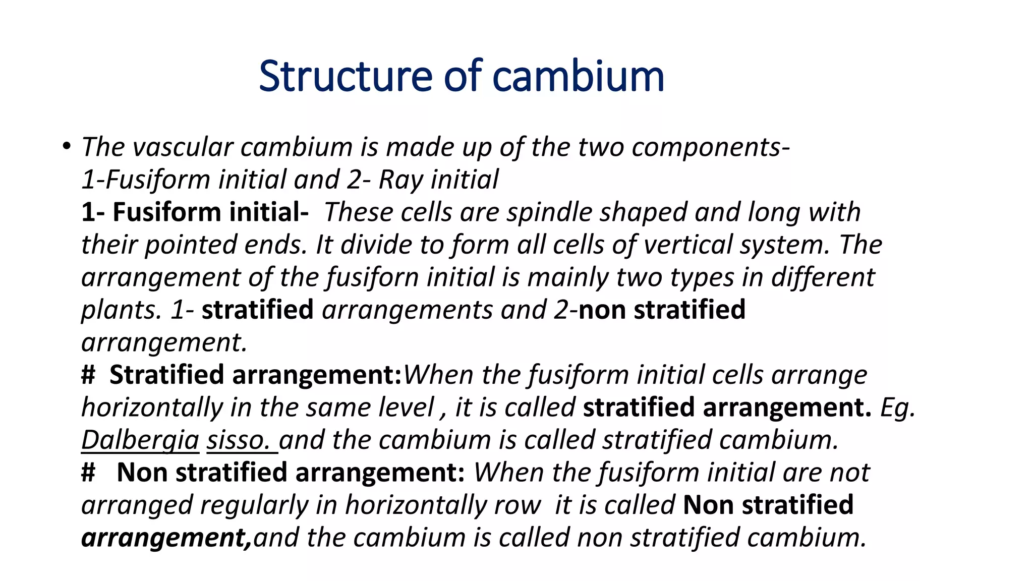 Vascular cambium gurpreet s | PPTX