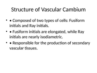 Vascular_Cambium_Presentation.pptx1w34sgshhbvhjjj | PPT
