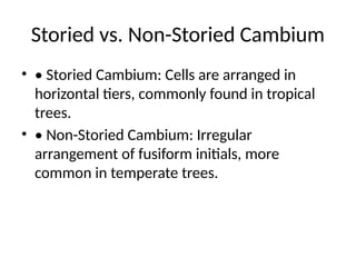 Vascular_Cambium_Presentation.pptx1w34sgshhbvhjjj | PPT