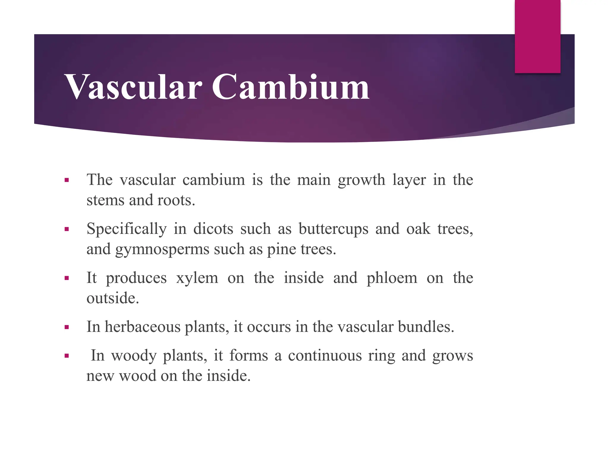 VASCULAR CAMBIUM Repaired plants anatomy | PPTX