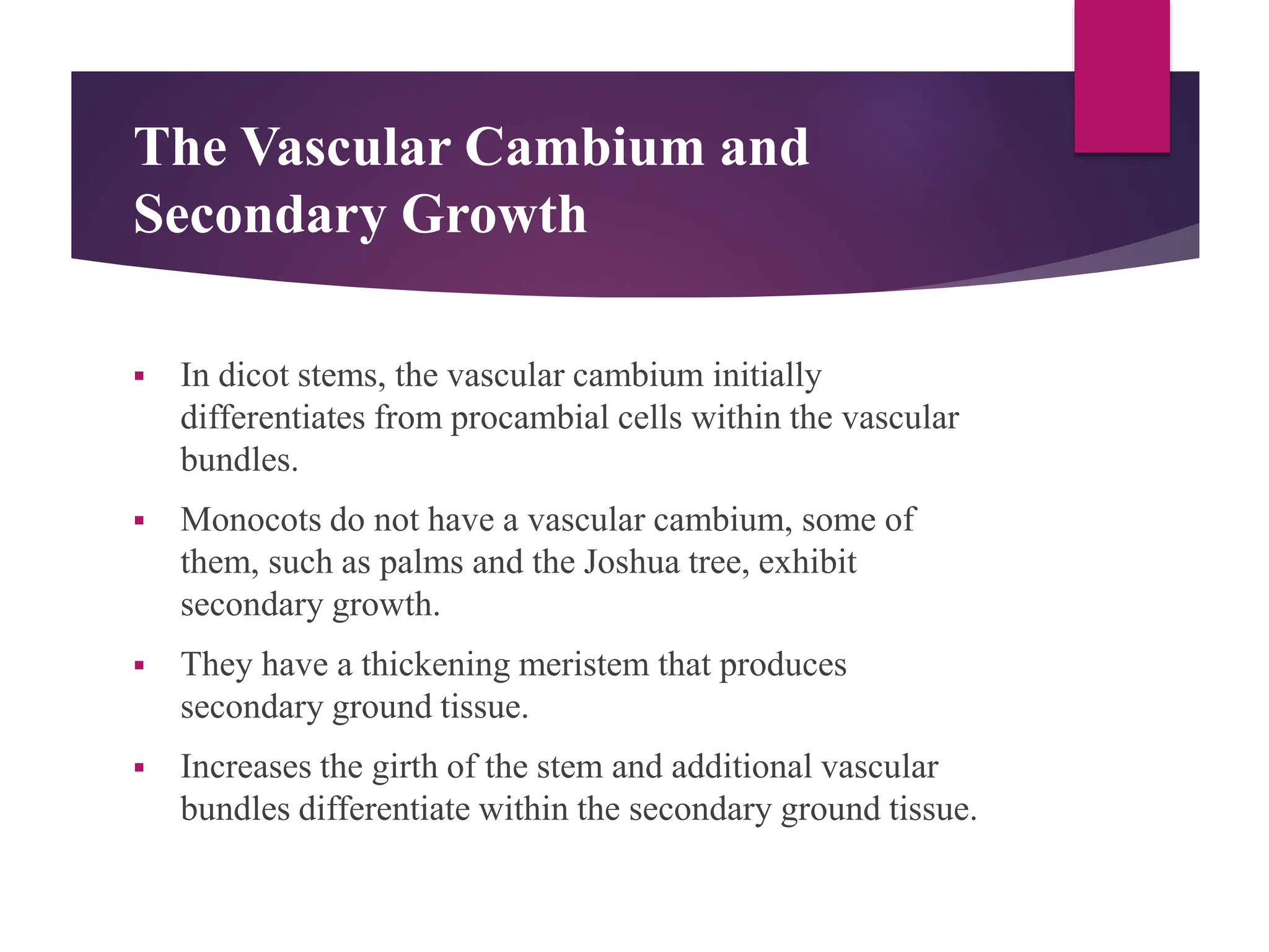 VASCULAR CAMBIUM Repaired plants anatomy | PPTX