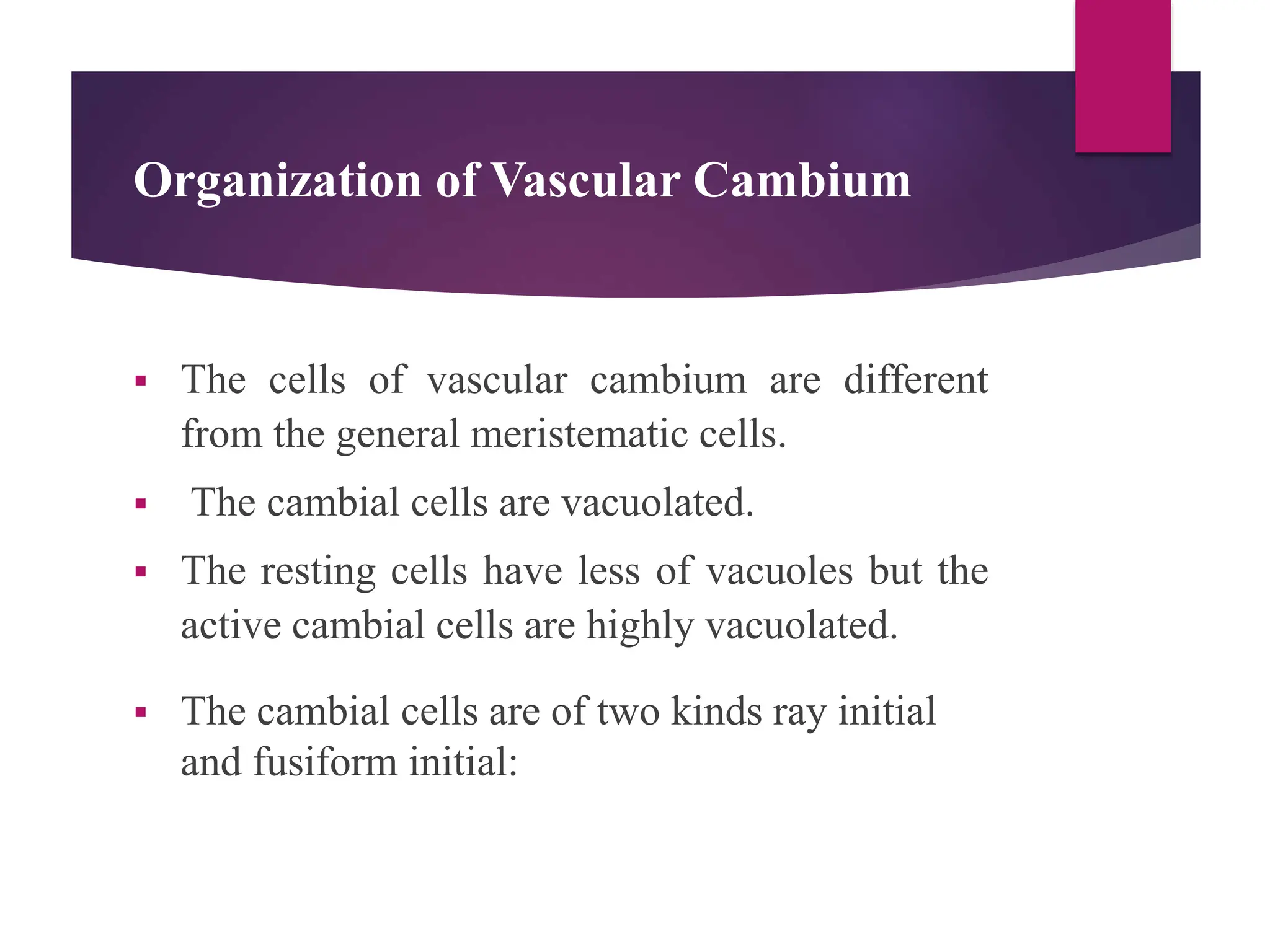 VASCULAR CAMBIUM Repaired plants anatomy | PPTX