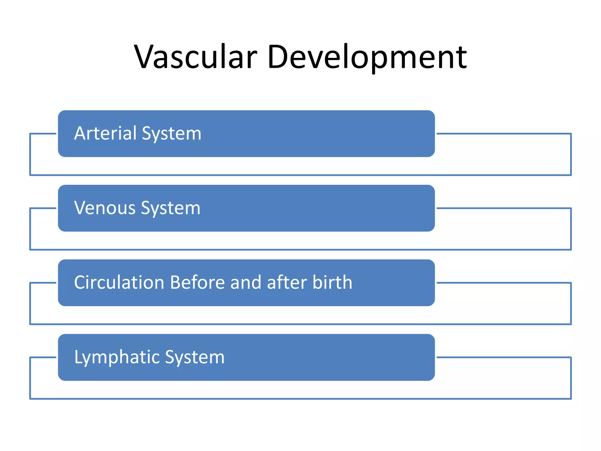Vascular development | PPTX