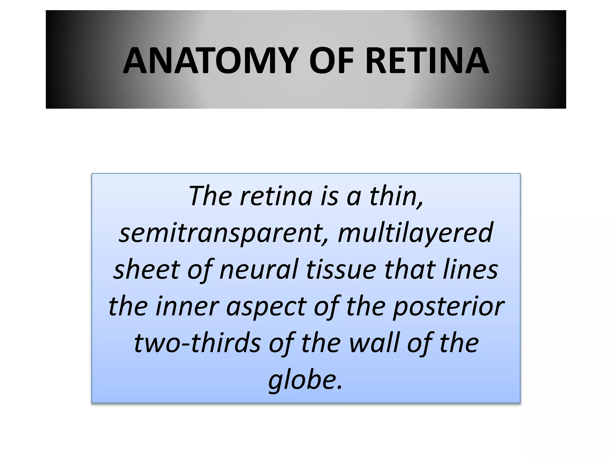 Vascular disorders of retina | PPTX