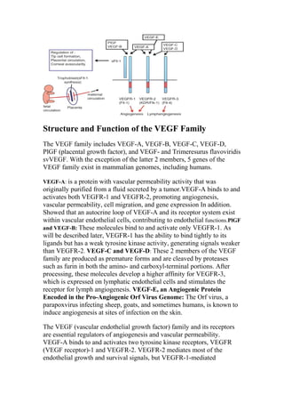 Vascular endothelial growth factor signaling pathwys in cancer | DOC