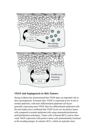 Vascular endothelial growth factor signaling pathwys in cancer | DOC