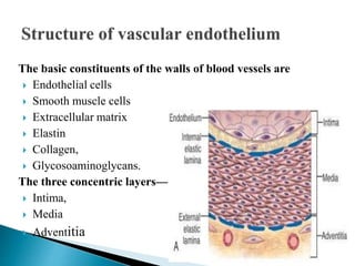 Vascular endothelium | PPTX
