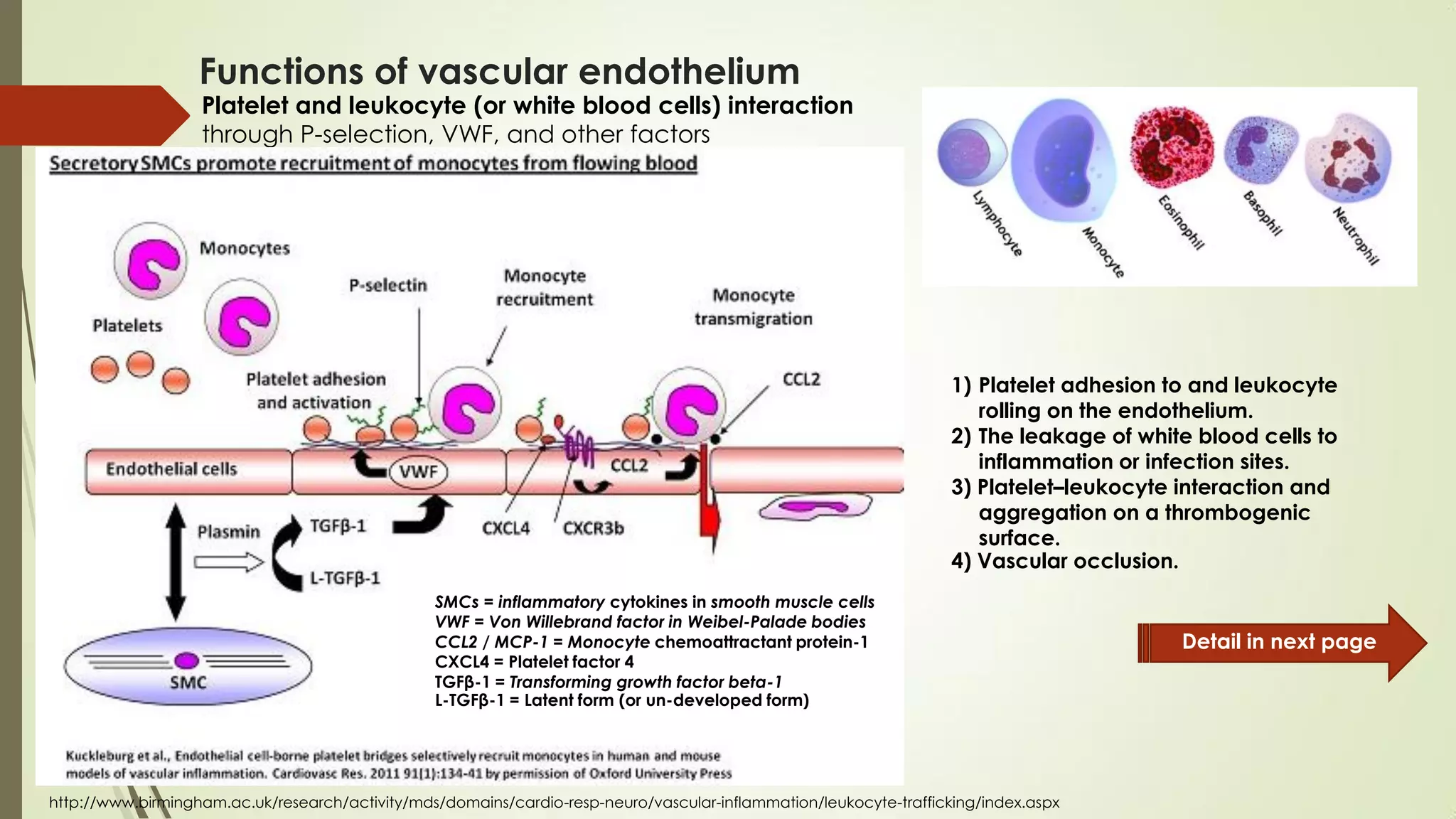 The Vascular Endothelium, Nutrients, and Diseases | PDF