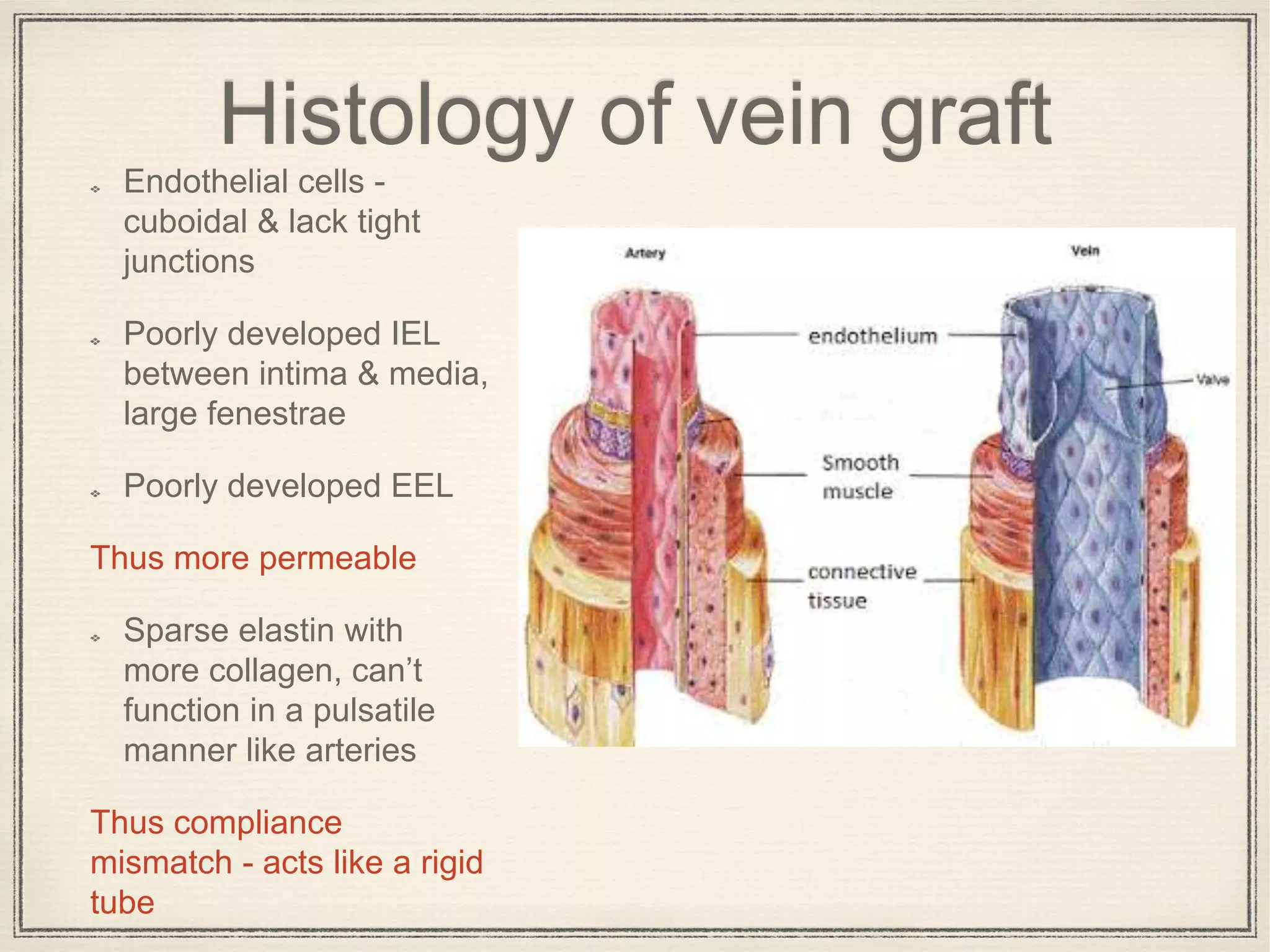 Vascular grafts | PPTX