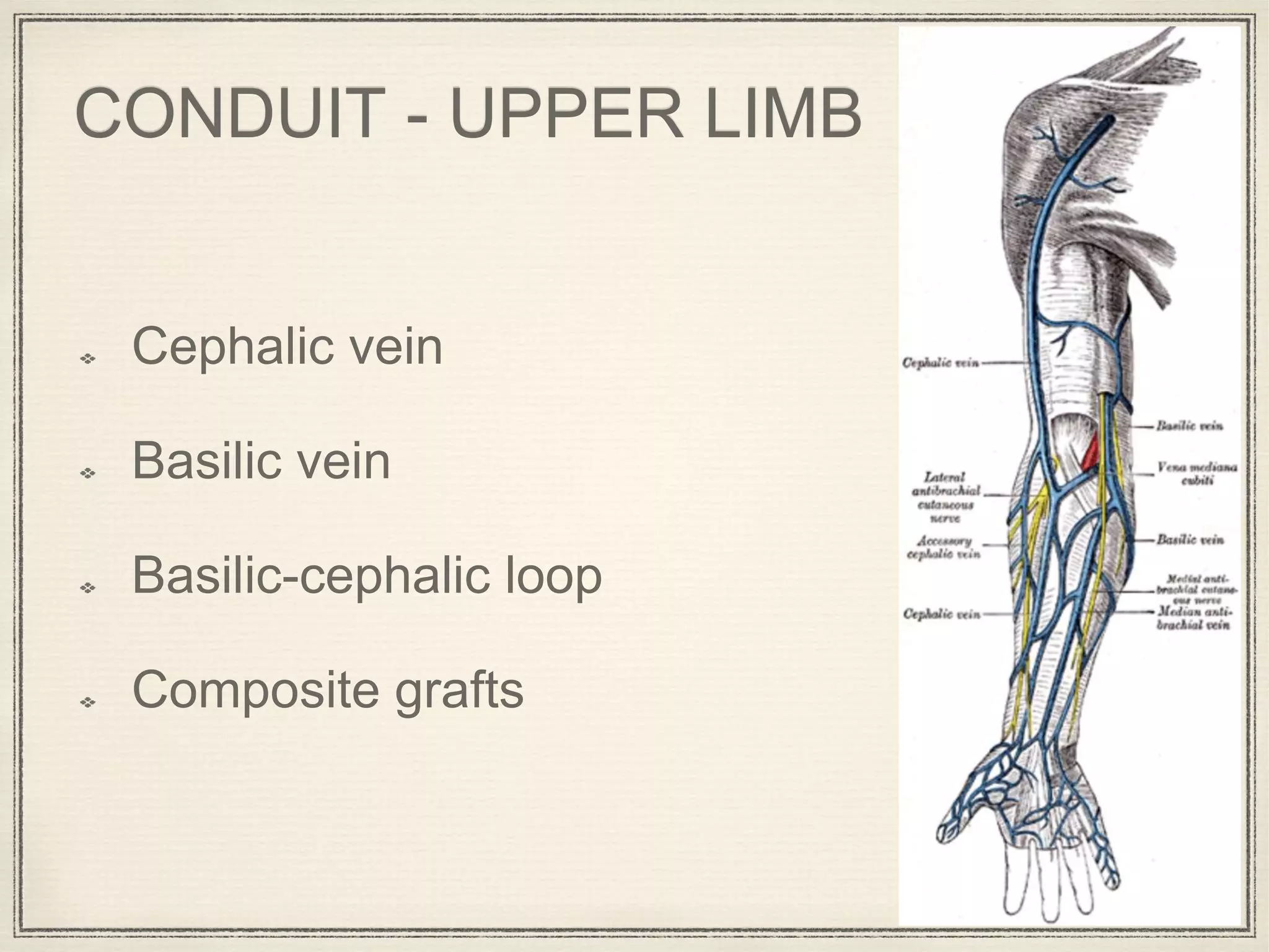 Vascular grafts | PPTX