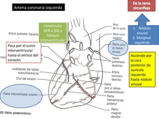 CORONARIAS | PPT