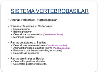 Vascularización cerebral y evc | PPTX